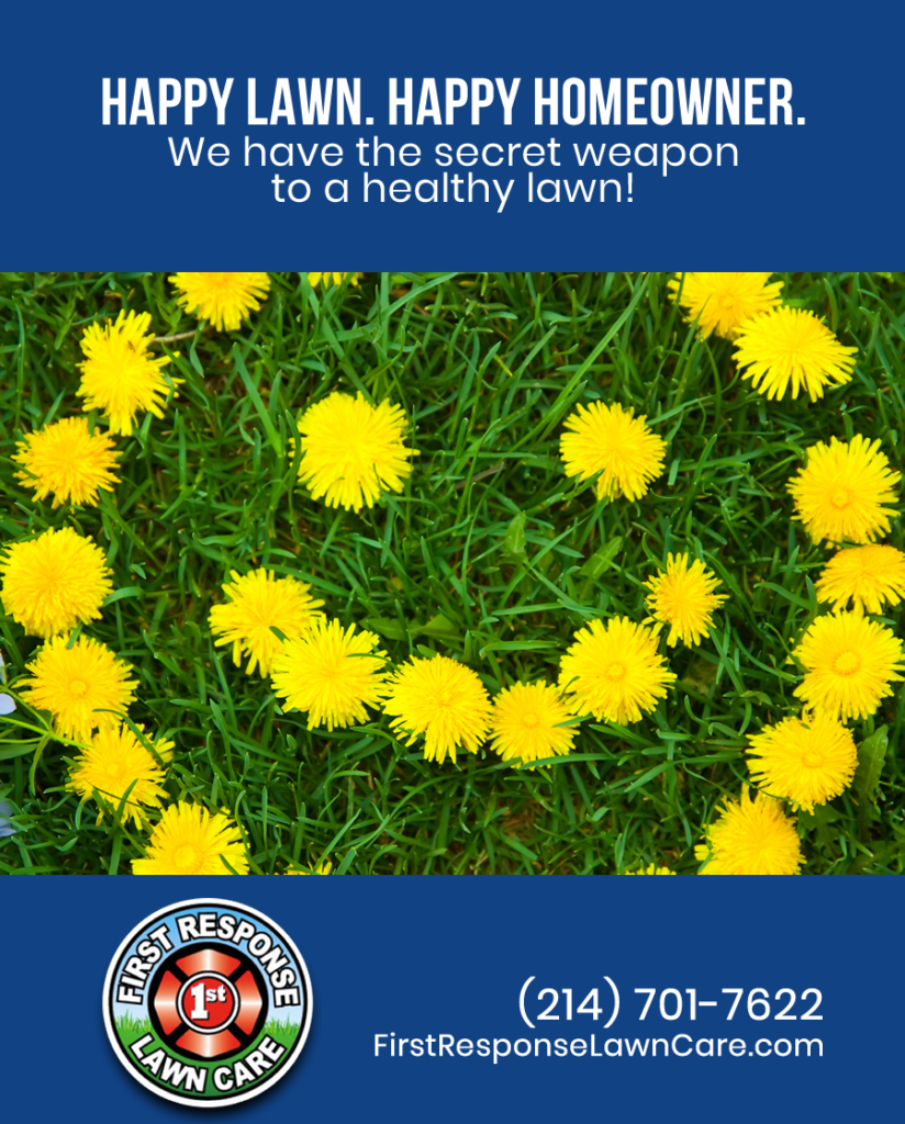 Best Sprinkler Systems